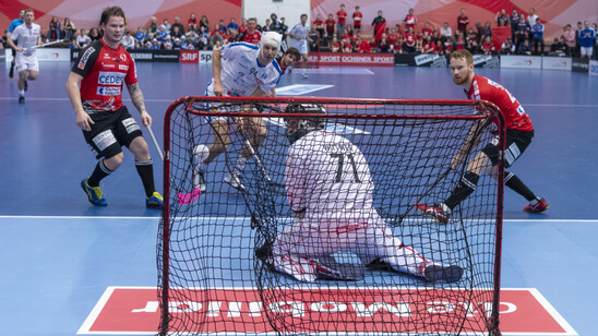 Massenproteste im Iran - Trump stellt Hilfe in Aussicht - Hoefner